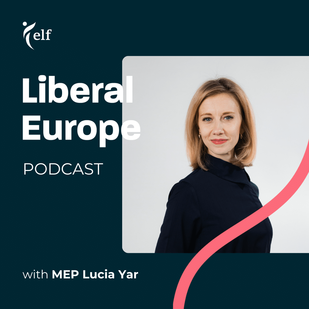 Gender Equality, Security, and European Unity - a Conversation with MEP ...